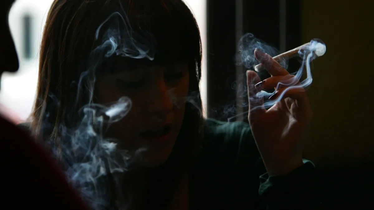 Češka legalizira lake droge - Net.hr