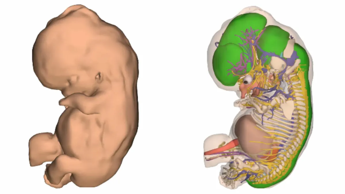Znanstvenici su napravili 3D mapu koja prikazuje nevjerojatno detaljan ...