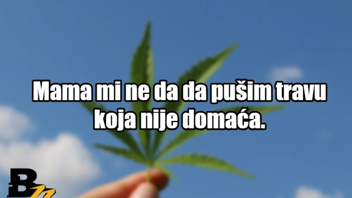 'Tvoja mama mi je rekla da ne smijem': TOP 20 najboljih načina za reći ...