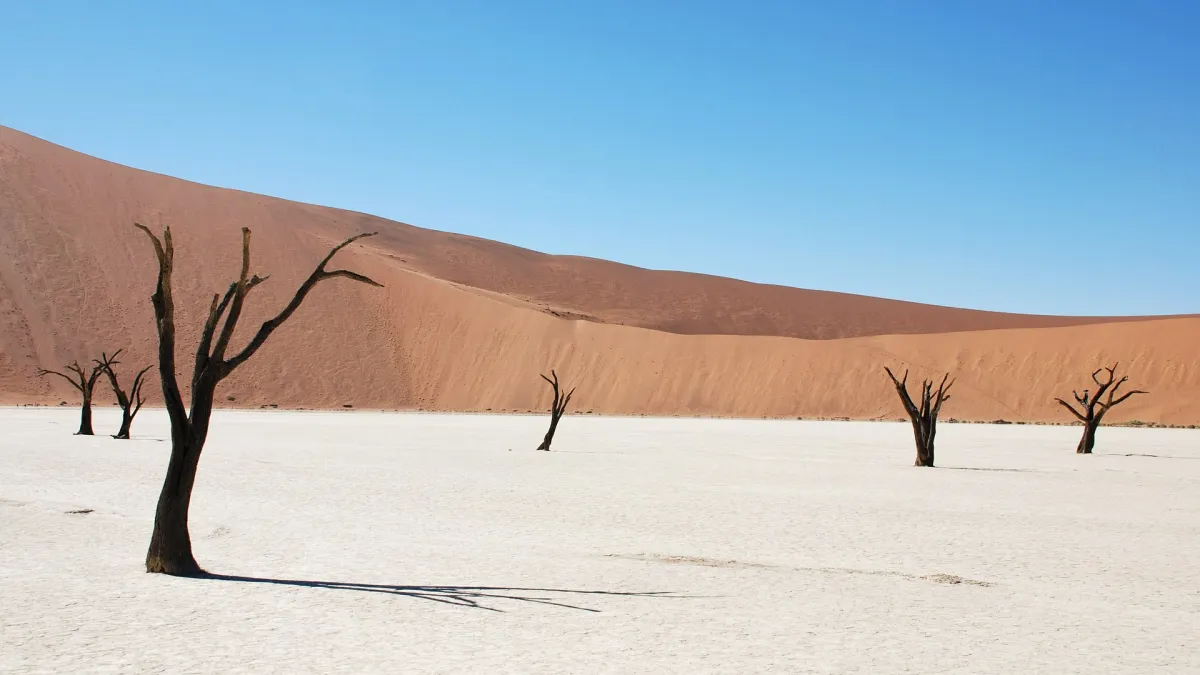 Koje zanimljivosti skrivaju država Namibija i Namib pustinja - Net.hr