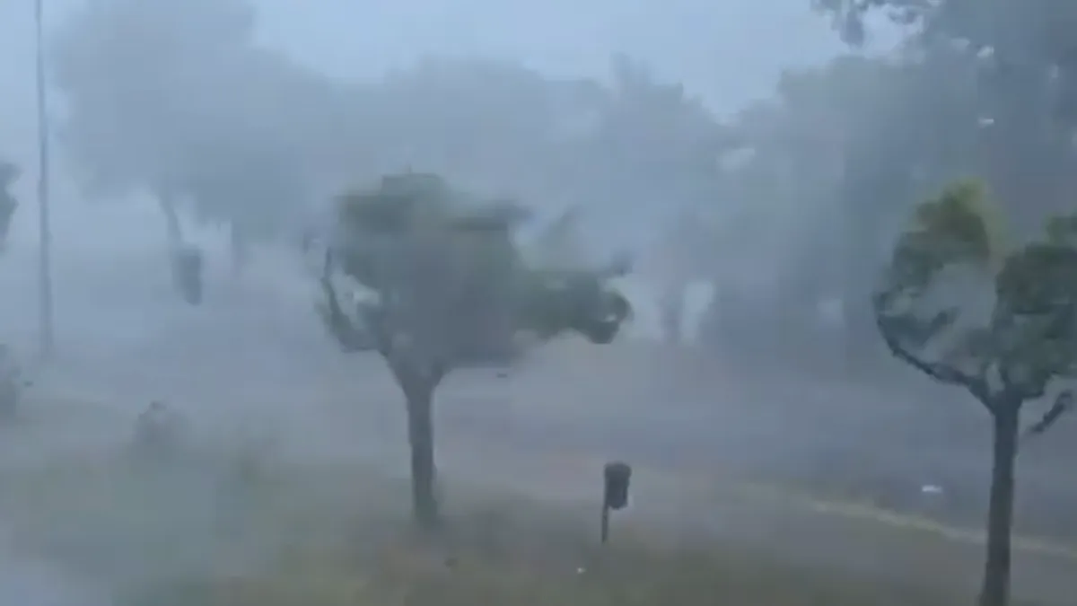 STIGLO NOVO OLUJNO NEVRIJEME: U Istri silovit vjetar rušio stabla, a ...