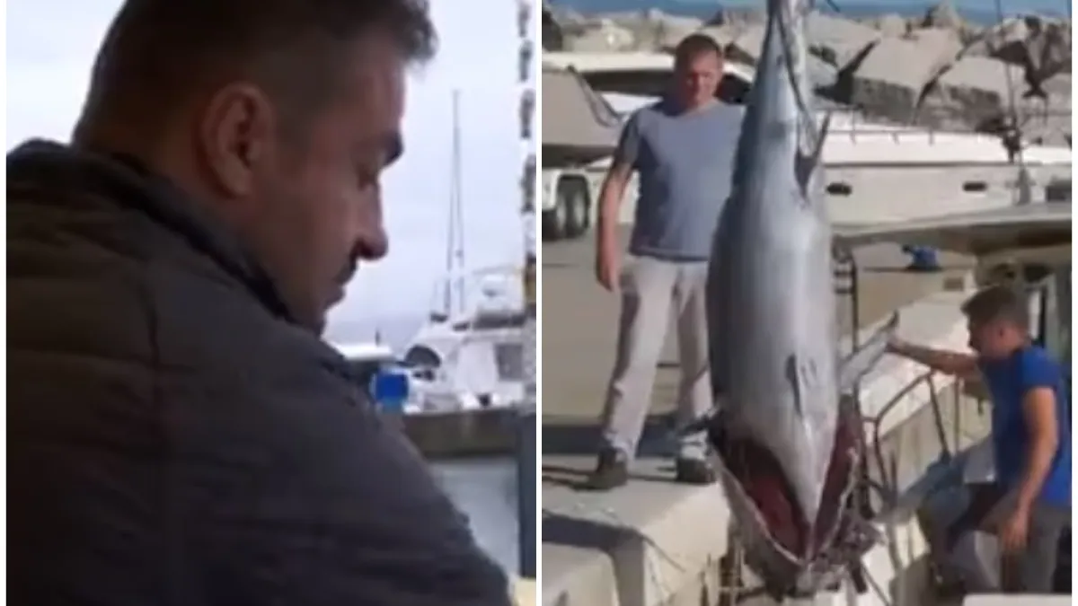 IGOR JE ULOVIO GRDOSIJU KOD RAPCA: Tunu tešku više od 200 kg upecao ...