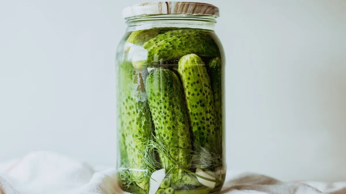 Što je fermentacija - zašto je fermentacija važna i što je fermentacija ...