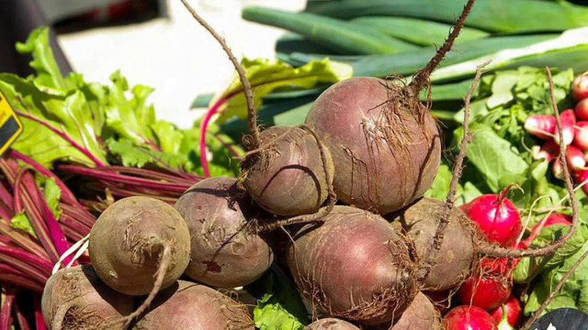 Kisela repa - salata od kisele repe kao prilog - Net.hr