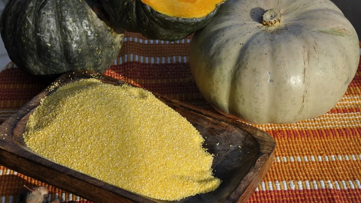 Jetrica sa palentom - recept i priprema jetrica sa palentom - Net.hr