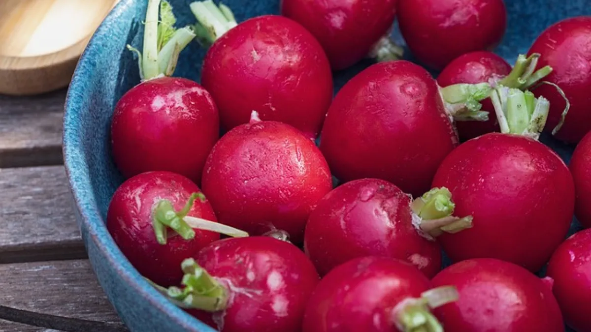 Salata od rotkvice i jaja - recept i priprema - Net.hr