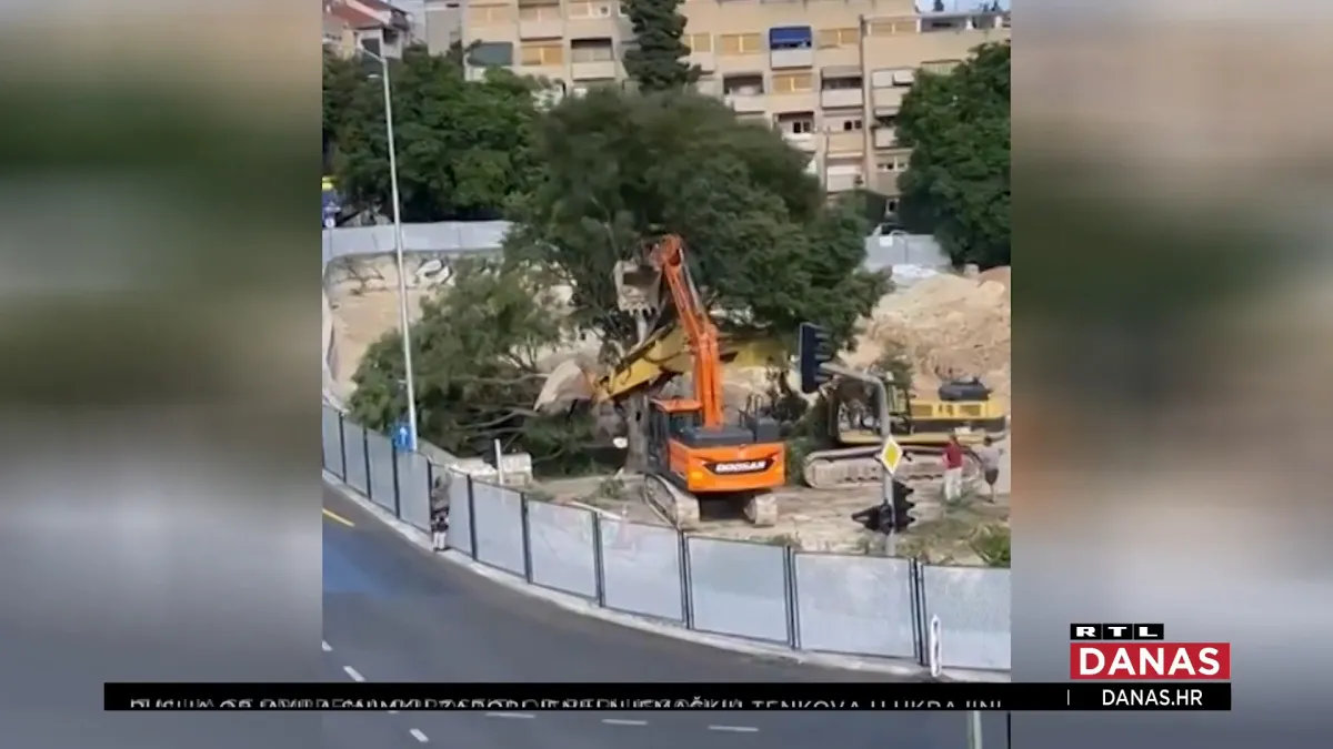 Posađena je prije Drugog svjetskog rata, preživjela je puno toga, ali ...