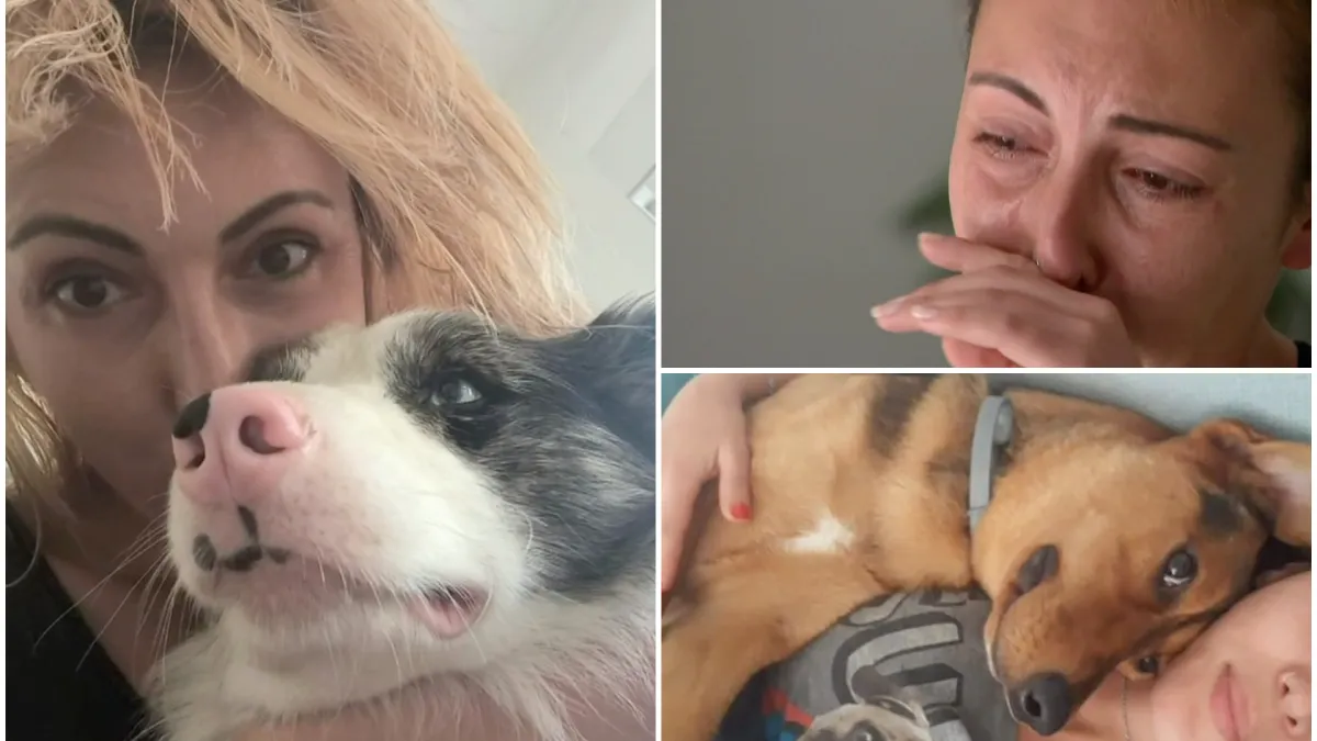 Vlasnica pasa koji su upucani išla je psihijatru, a boji se i za svoju ...