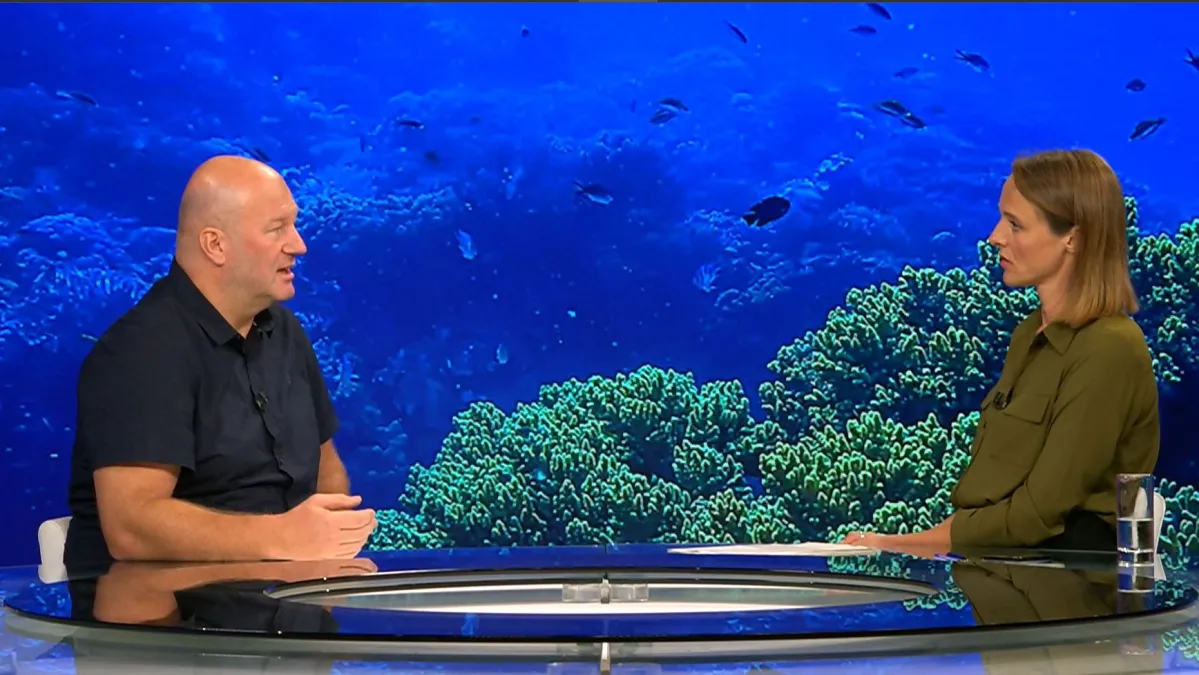 Otrovne tropske ribe doselile u Jadran, a orke se zabijaju u brodove ...