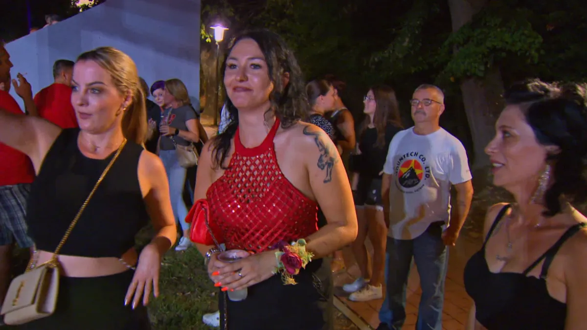 Zaruke u 'Ljubav je na selu'! Ivica kleknuo pred Ilonu na koncertu Nede ...