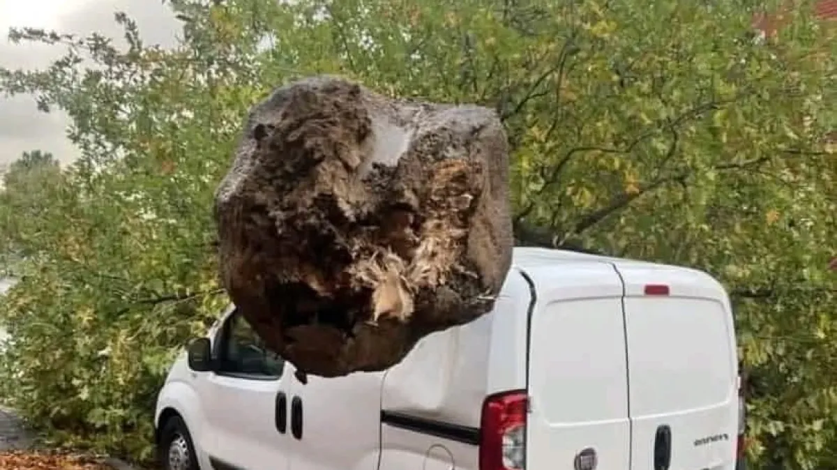 Kamen u letu? Pogledajte malo bolje, nevjerojatno je koliko je ljudi ...