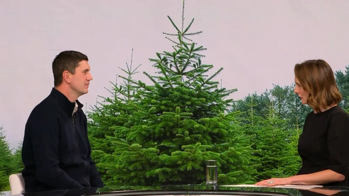 Ivan Pokupec proizvodi borove. Otkrio je koji se najbrže trusi, koji najljepše miriši i što je ...