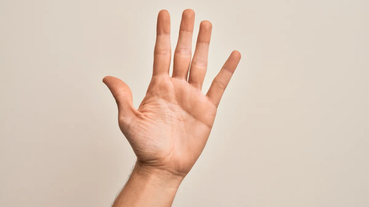 Čitanje iz dlana pomoću linija otkriva sudbinu - Net.hr