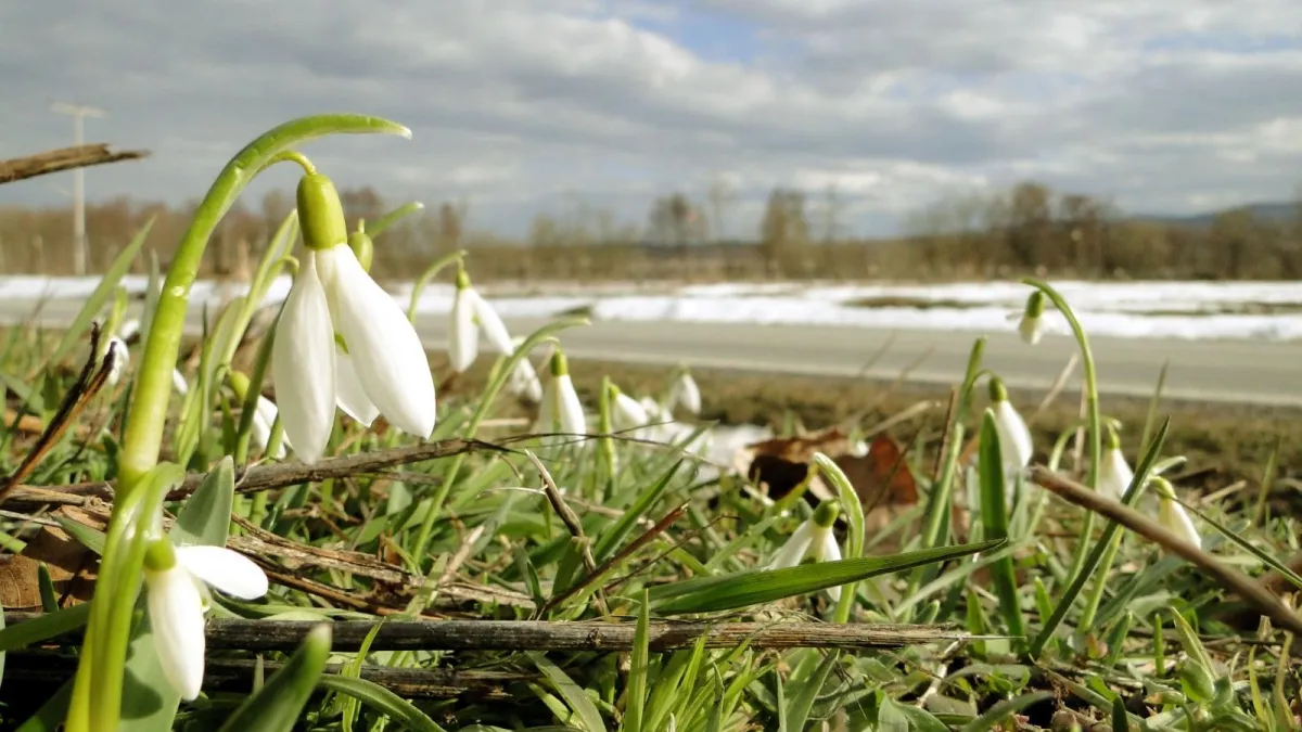 Dolaze još topliji dani, ali i kiša. Meteorolog RTL-a Dorian Ribarić zna i kada - Net.hr