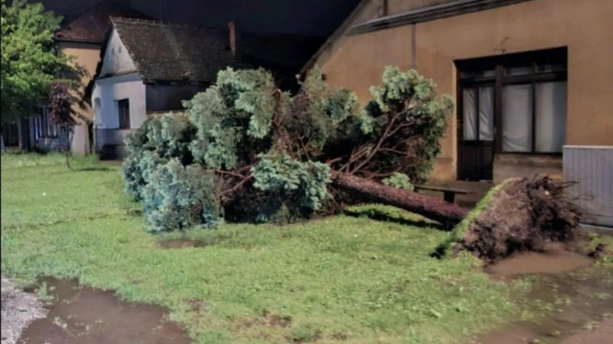 Nakon nevremena još 1550 korisnika bez struje u Vukovarsko-srijemskoj ...