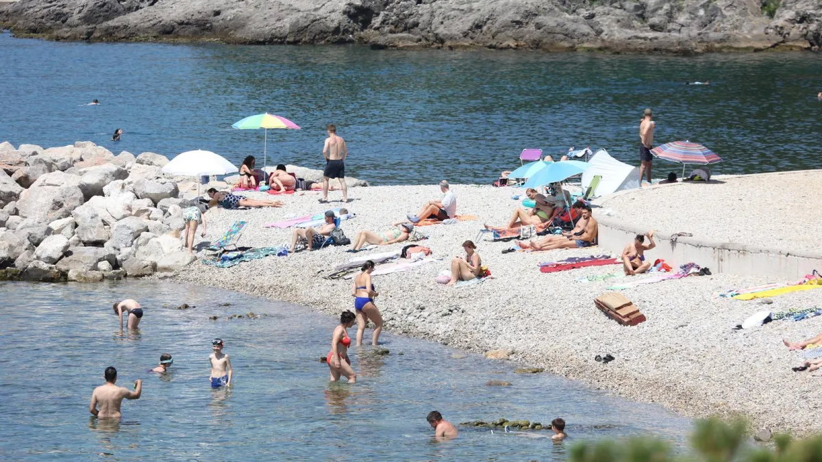 Snimljena riba pauk, jedna od otrovnijih riba u Jadranskom moru - Net.hr