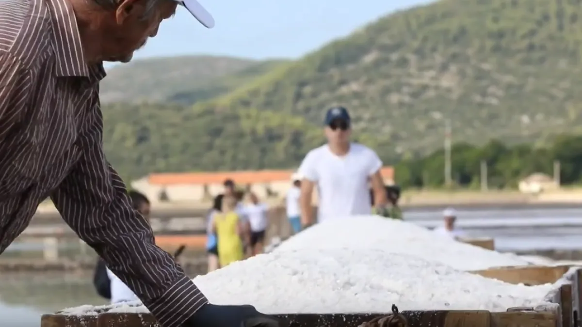 Počela berba u stonskoj solani: 'Ostalo isto kao u prošlosti - samo ...